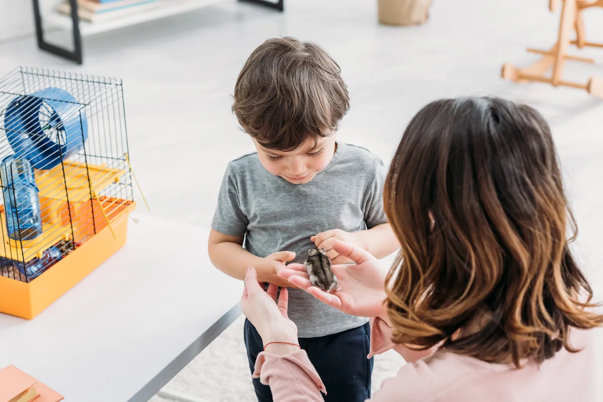 Mascotte de la classe à la maison : transformer l'école en jeu